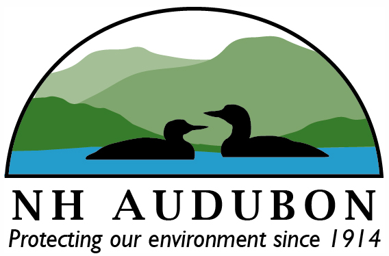 Loon Safe – Loon Preservation Committee