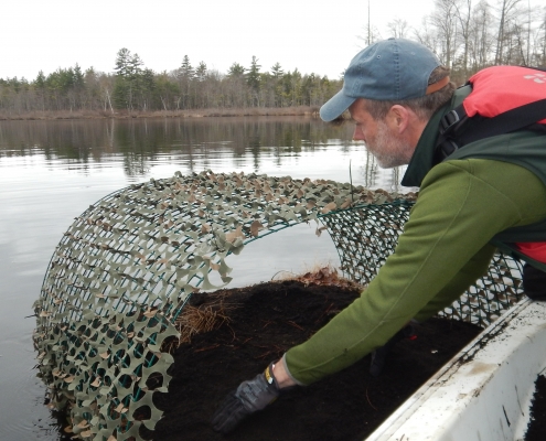 Nest Rafts – Loon Preservation Committee