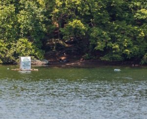 Loon Nesting Signs and Float Lines – Loon Preservation Committee